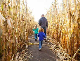 Jumbos Pumpkin Patch | pumpkin patch | 6521 Holter Road, Middletown, MD ...