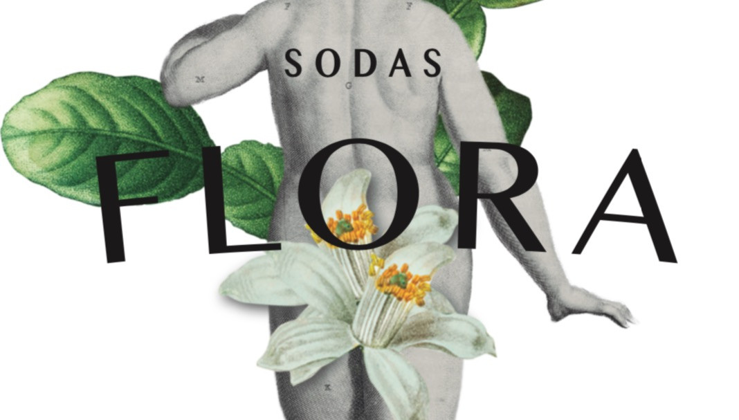 Sparkling Sodas | Sodas Flora Receta De Herencia