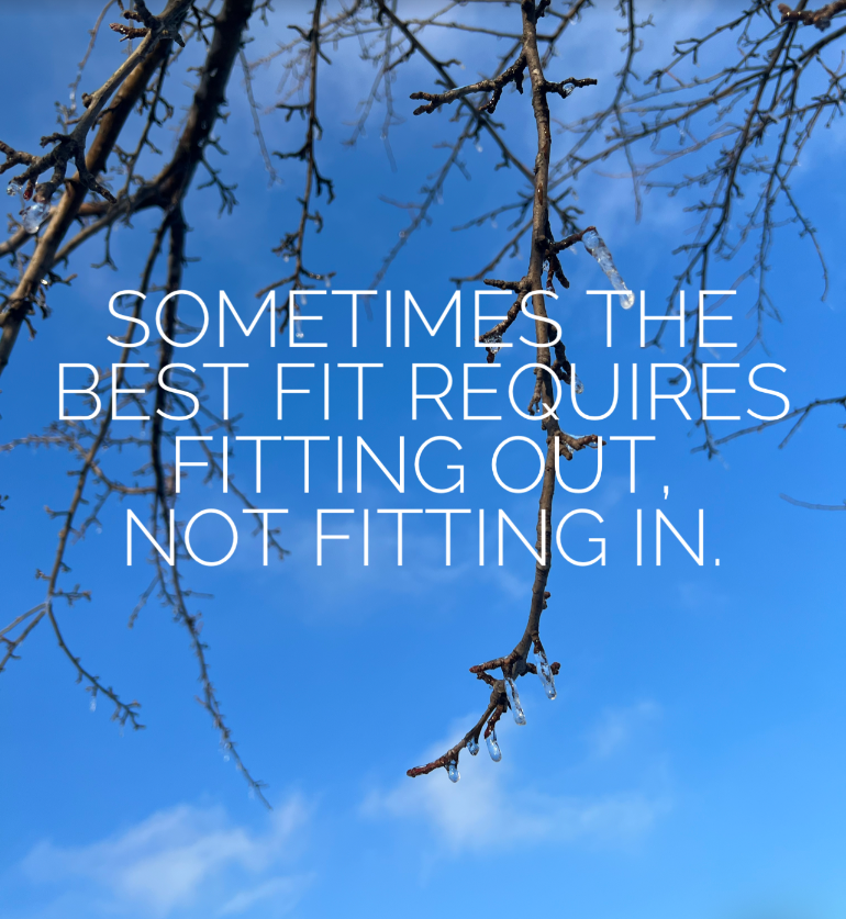 Personal Development - Finding Your Fit