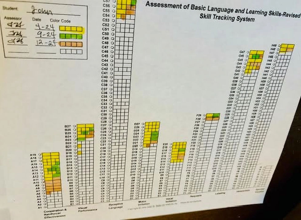 ABLLS-R Explained: An Alternative Curriculum for Autism