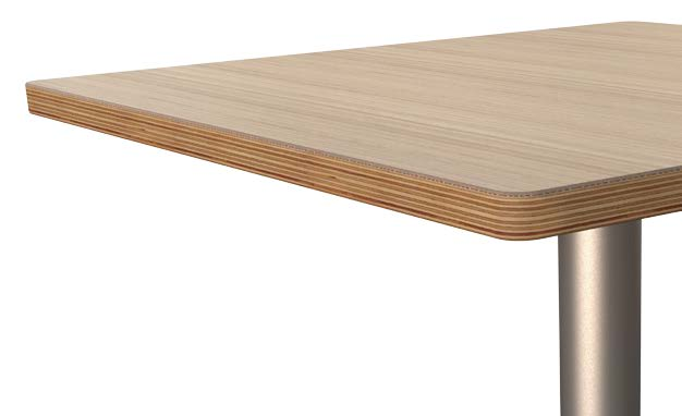 Exposed Birch & Aspen Multiply Surfaces