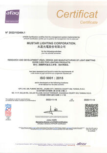 Certificate | Mustar Lighting Corp.