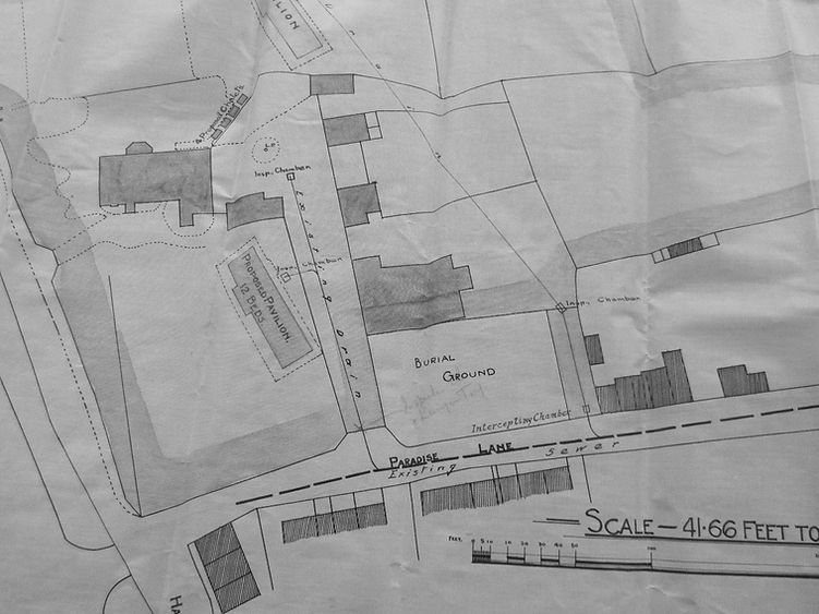 A History of Paradise Lane | pelsalltimes