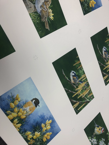 A1 Artists Watercolour Paper Textured 315gsm | SomerPrintingLtd