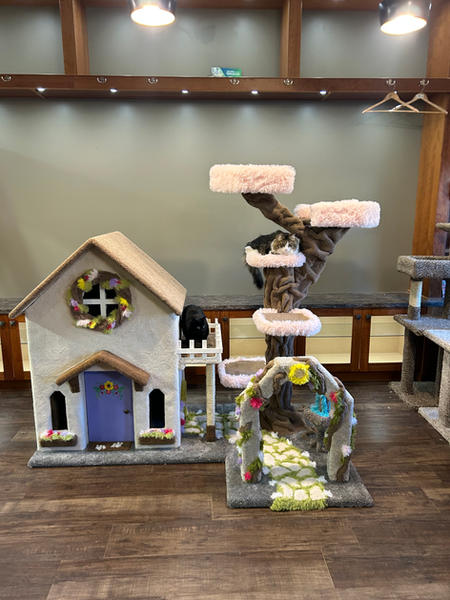 Elite Models | Custom Cat Cribs