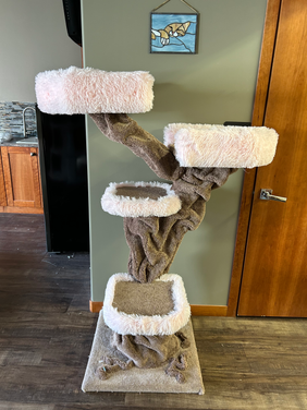 Luxury Cribs | Custom Cat Cribs