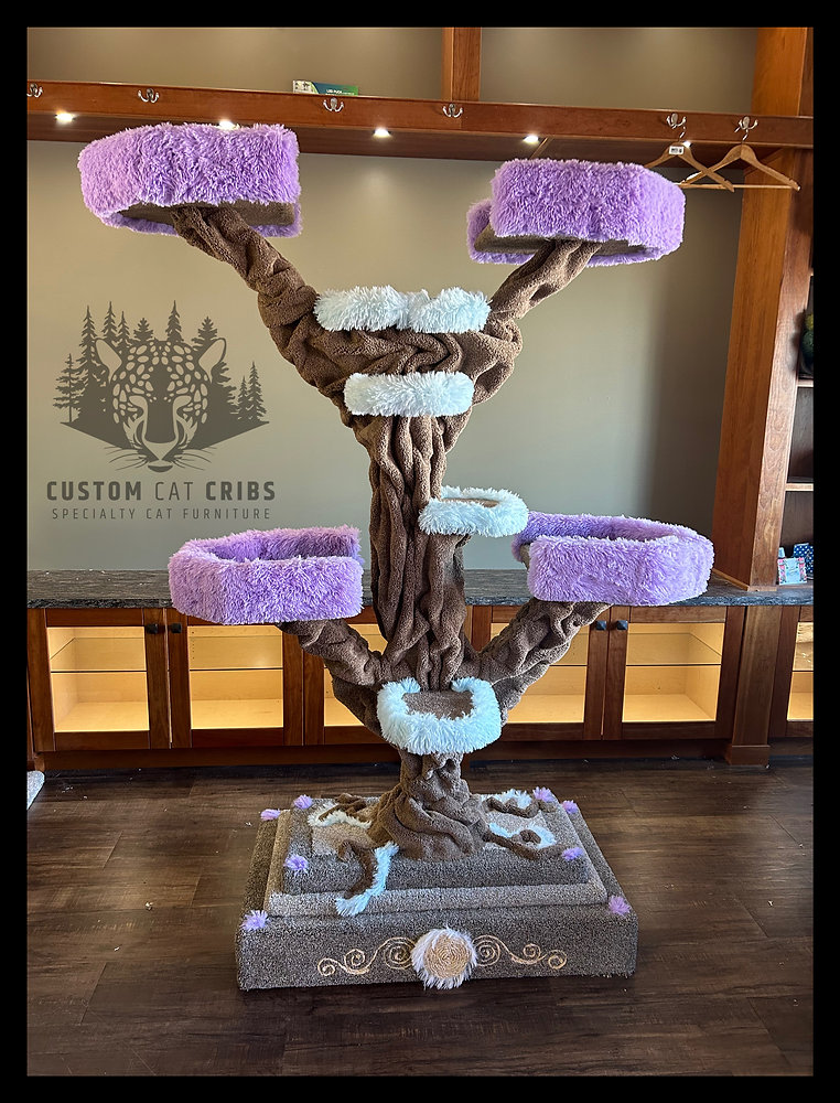 Perfect Cat Tree for Maine Coons