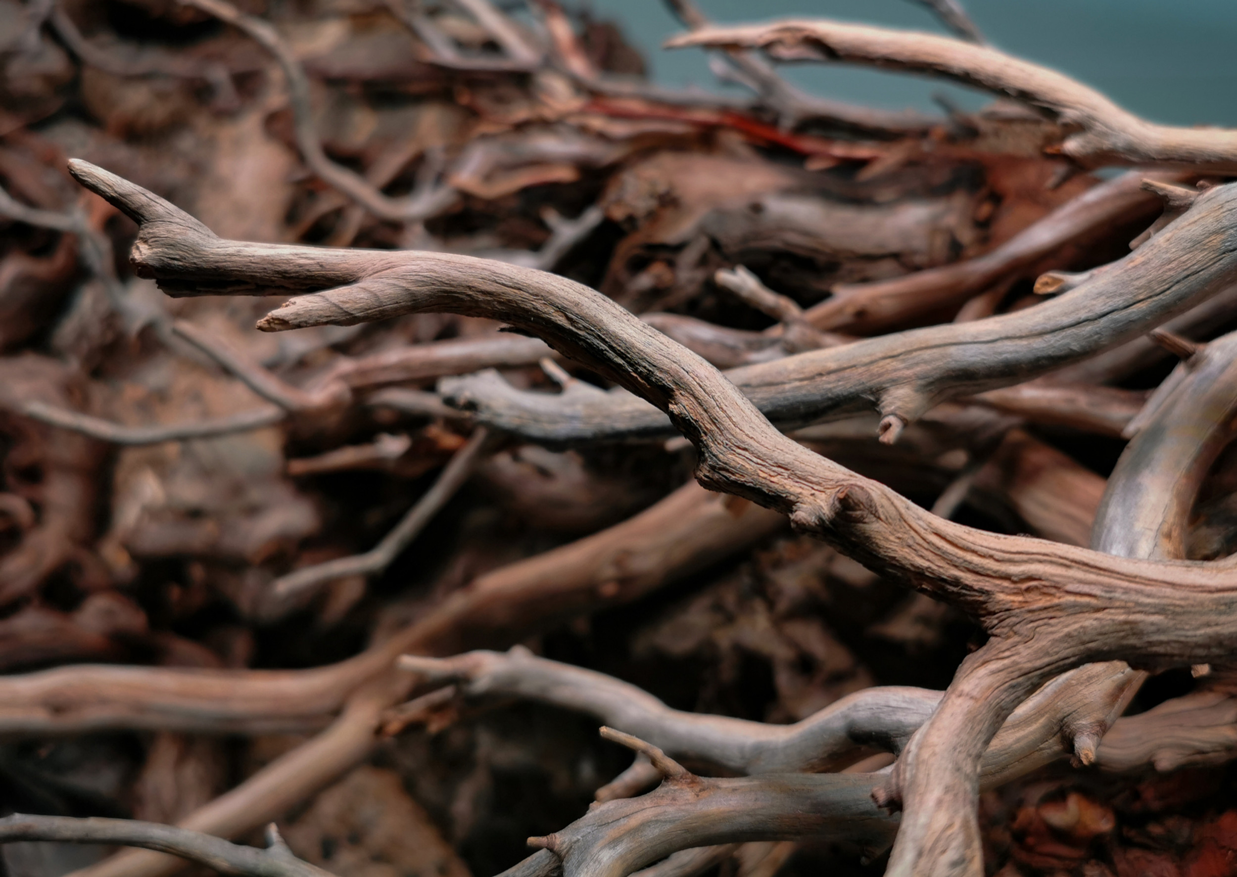 The Power of Roots: Finishing Touches That Transform Nature Creations