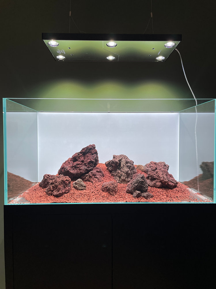 Creating a Stunning Red-Toned Aquarium Design with Frank Koper ...