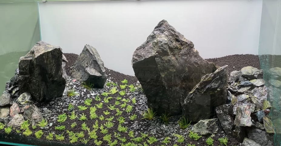 The Art of Iwagumi: Designing a Timeless Aquascape with WIO Jade Stone and Green Accents