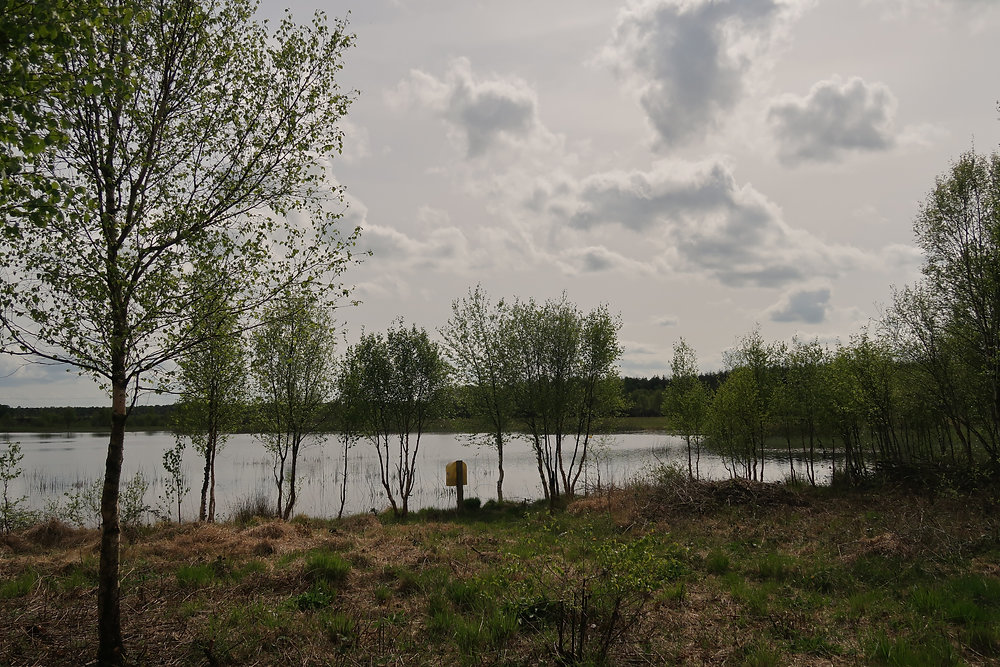 Derryounce Lakes & Walkways | Laois Offaly | The Indie Tripper