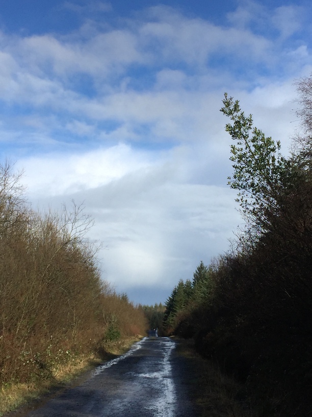 Explore the Irish Midlands | Ireland's Hidden Heartlands | The Indie ...