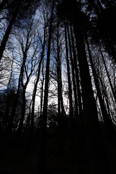 Explore the Irish Midlands | Ireland's Hidden Heartlands | The Indie ...