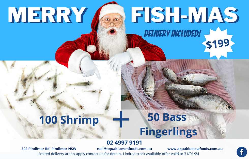 Products | Aquablue Seafoods | Tea Gardens