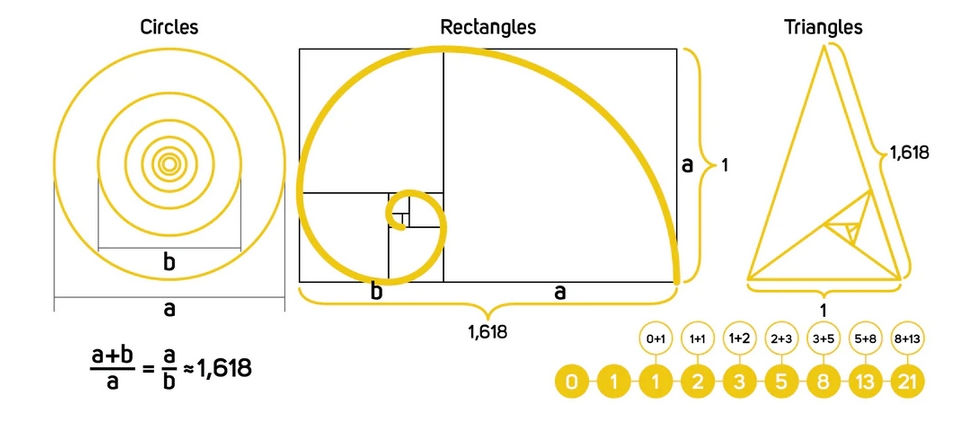 Le principe du nombre d'or en design