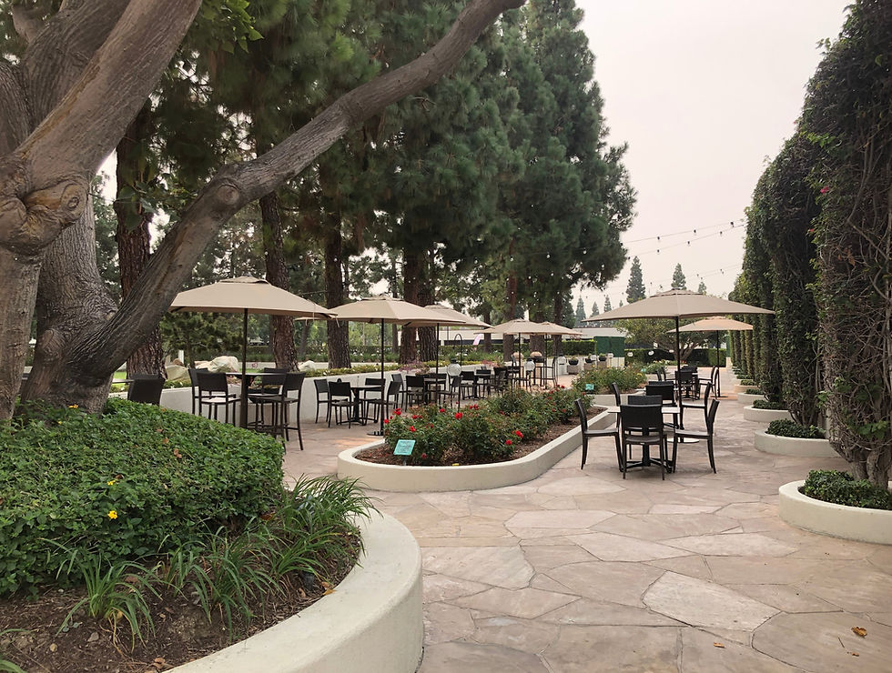 Home | Cafe Rose Express