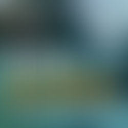 Author | Susan Russo Anderson