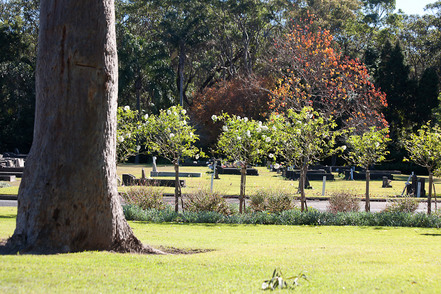 Cemeteries | Central Coast Cemeteries