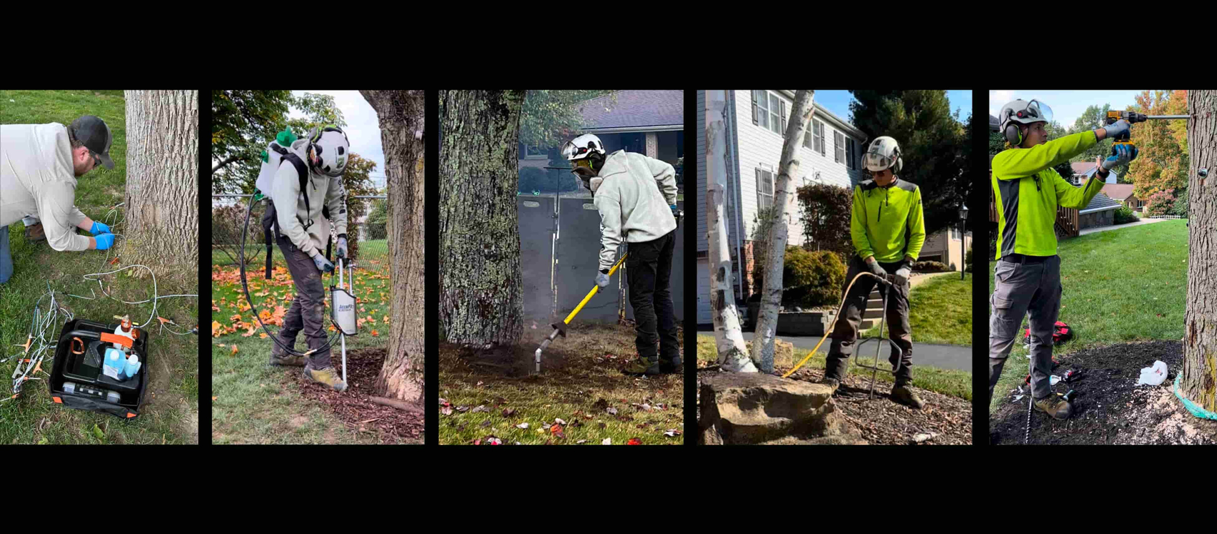 JP Tree Care | Service Area