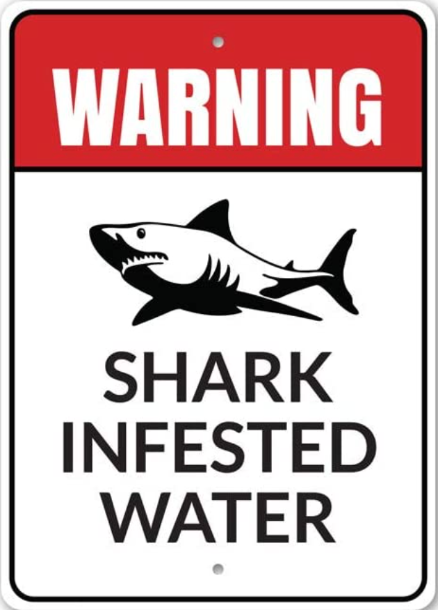 Swimming in Shark Infested Waters!