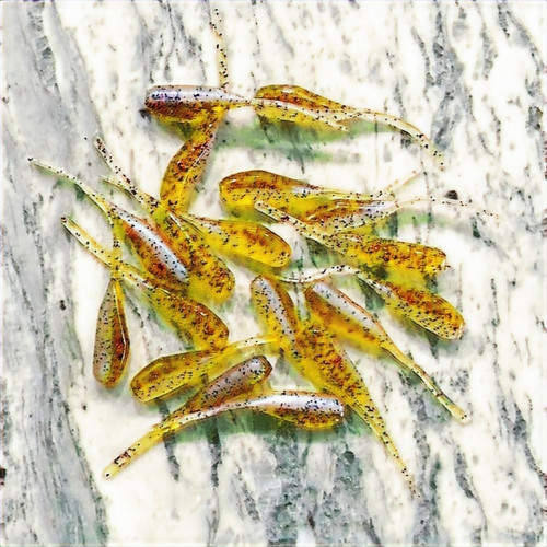 TEXAS MAYFLY (18 pack) | Chase25 Crappie Jigs