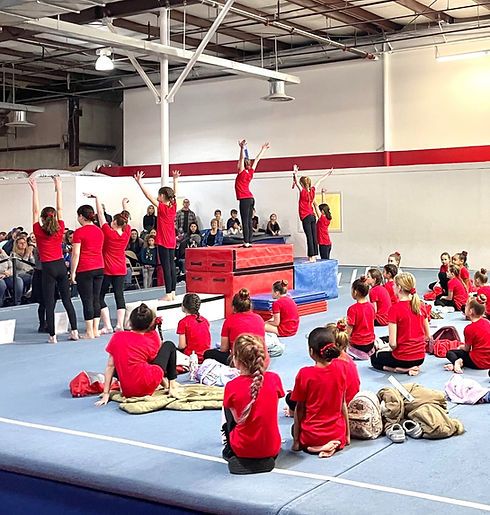 CLASSES | Rock Gymnastics