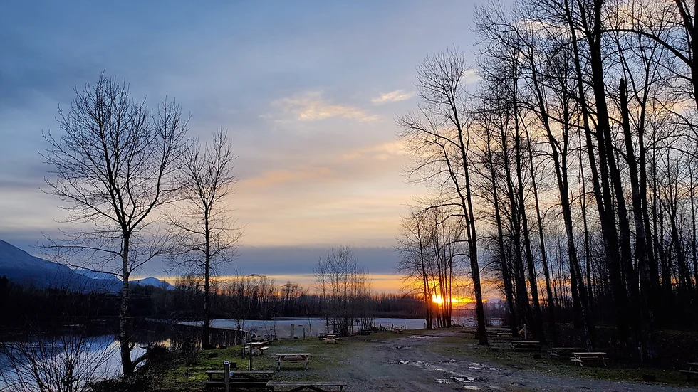 Agassiz Harrison Museum | Experiences