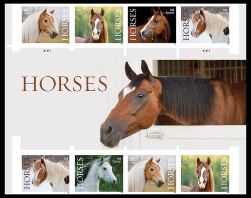 100 USPS HORSES FOREVER POSTAGE STAMPS | WWW.SHOPUSSTAMPS.COM