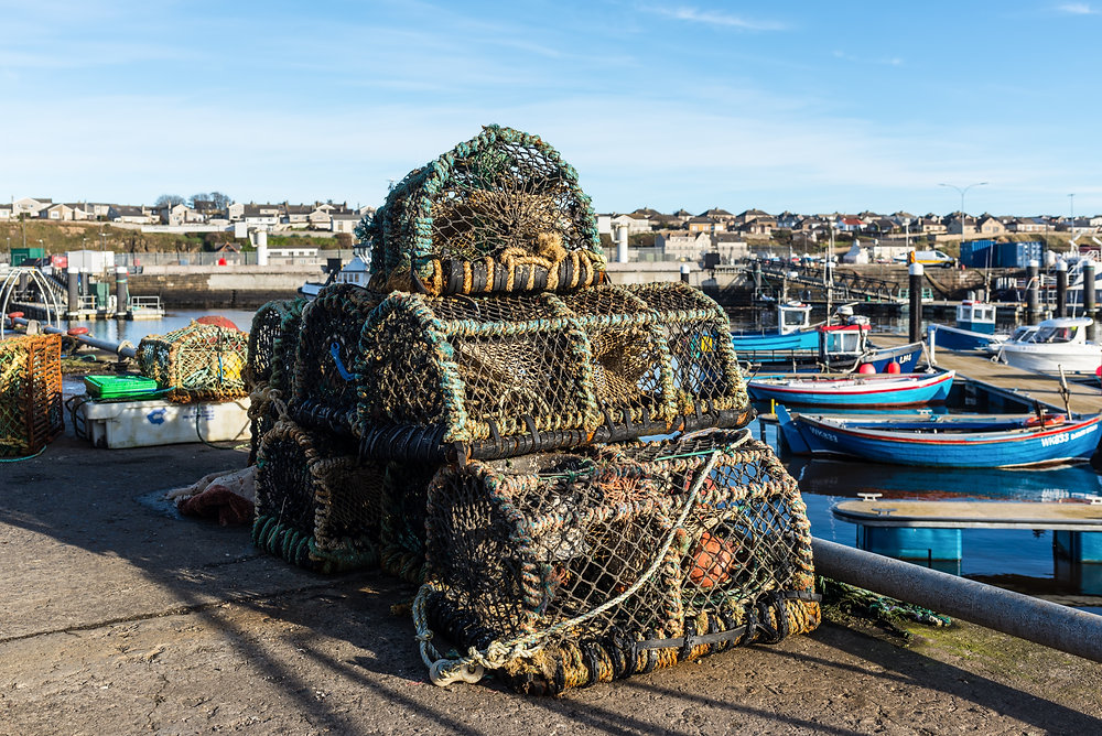 Lobster Fishing Gear Essentials – What You Need for a Successful Catch