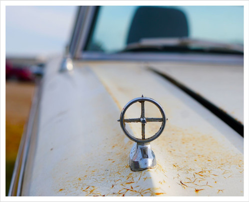 Comet Emblem Matted 8 x 10 Print | Wild Hare Art Studio