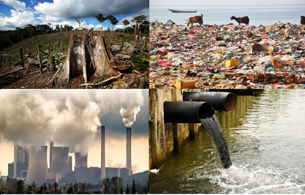 Environmental degradation and sustainable development