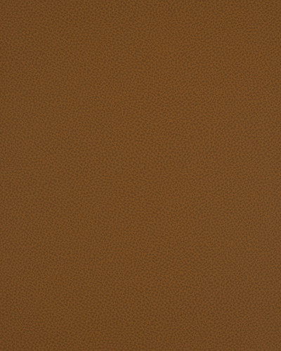 EXCURSION | Workshop Twenty- One