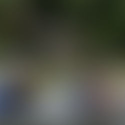 Staines Boat Club | Rowing | Learn to row | United Kingdom