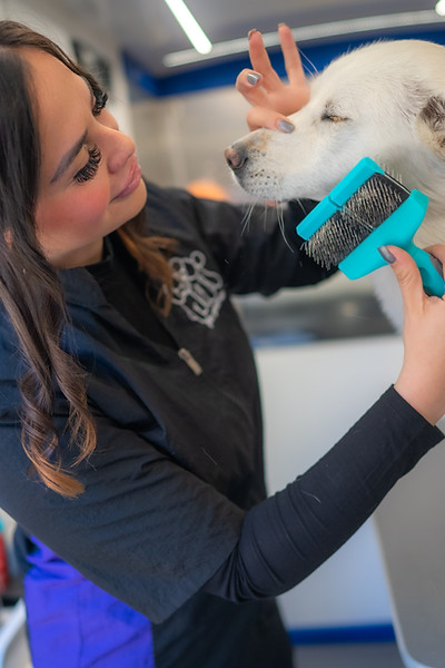 WOOF WOOF MOBILE PET SERVICES | MOBILE PET GROOMER