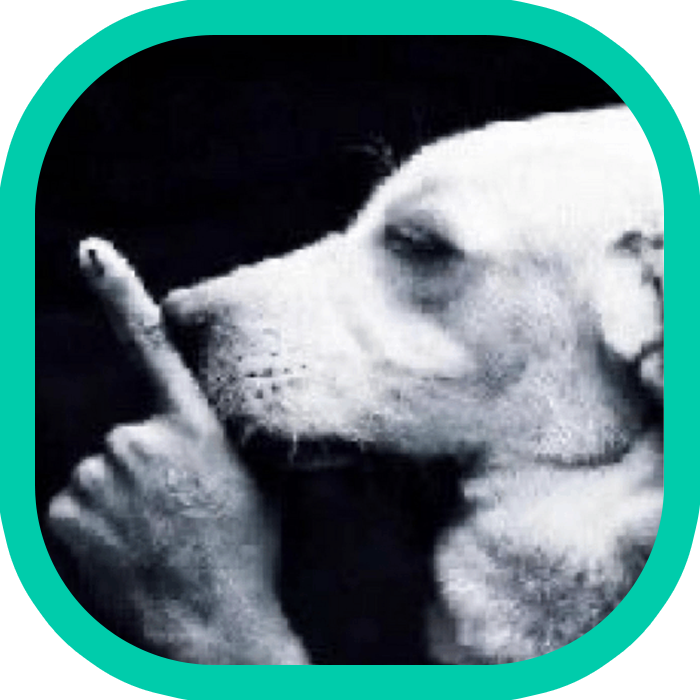 Stickers de Memes random | WiStickers