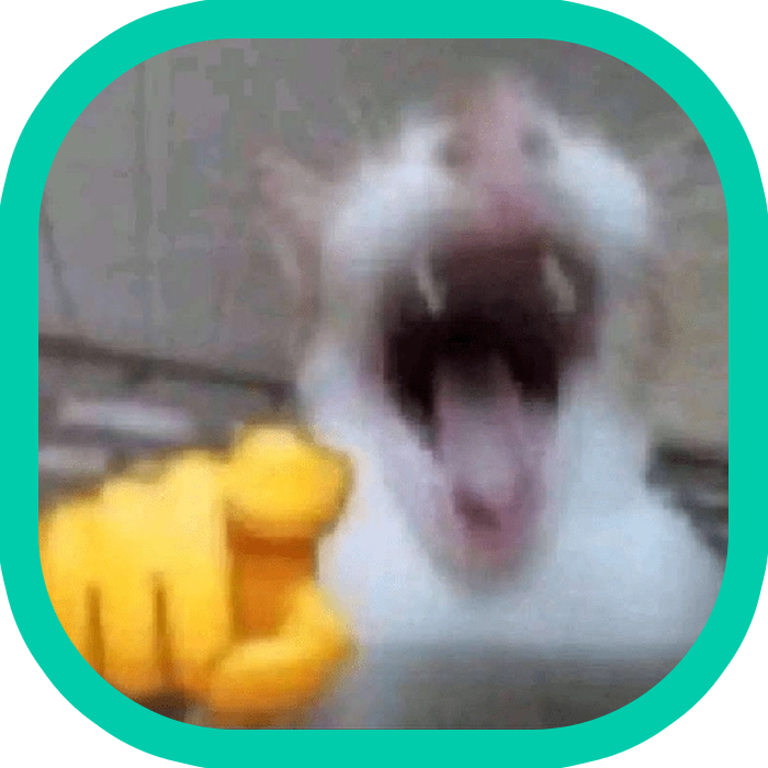 Stickers de Burlas | WiStickers