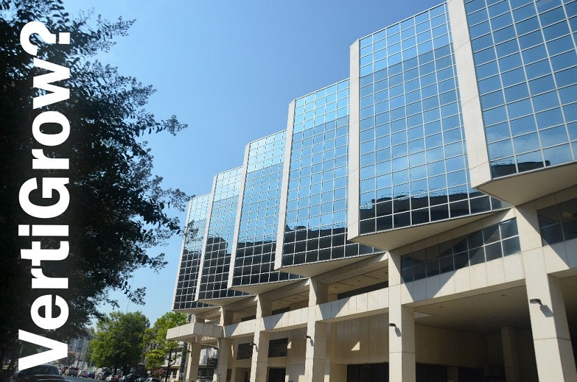 VertiGrow? Top Considerations for Vertical Expansion Projects