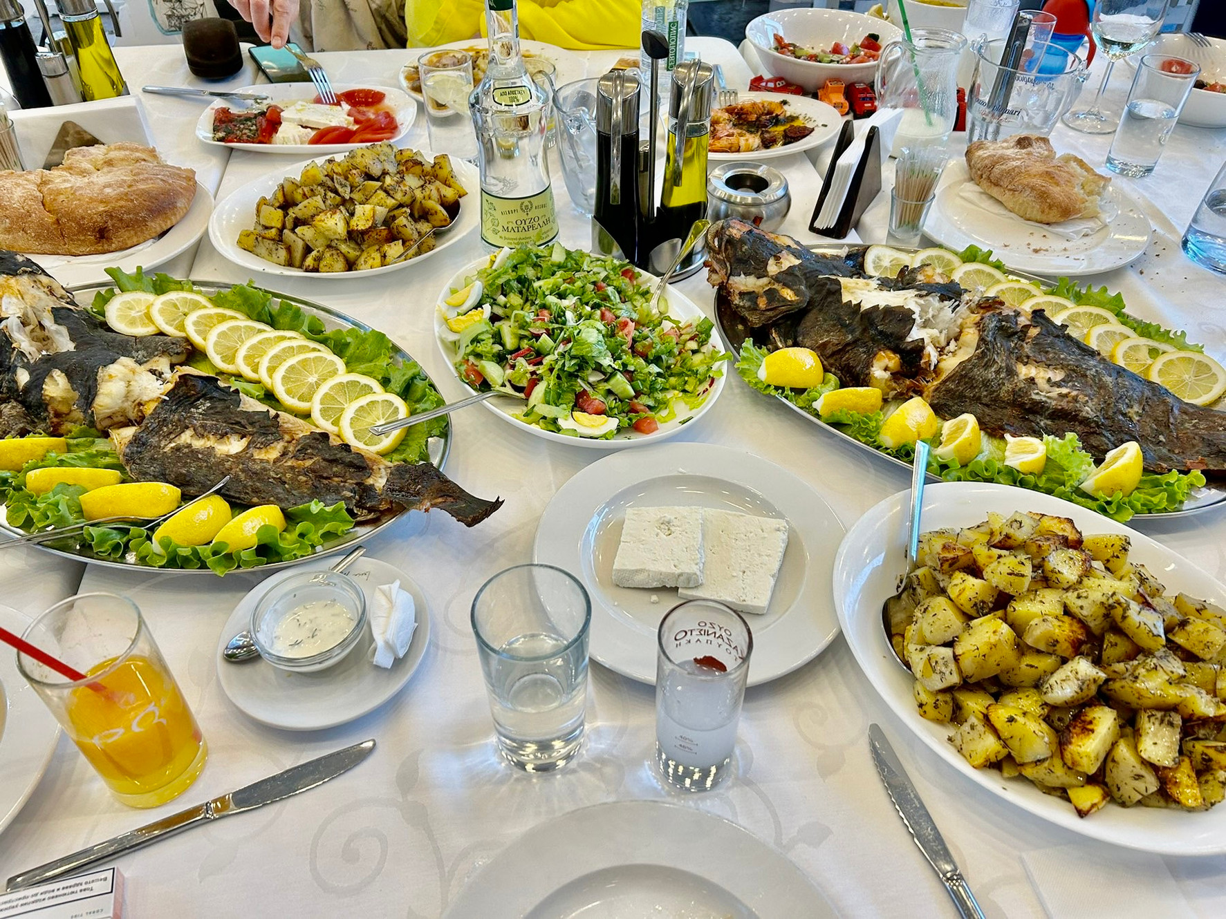 Home | Live Fish Restaurant Sunny Beach
