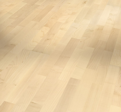 European maple | Deutsche Boden