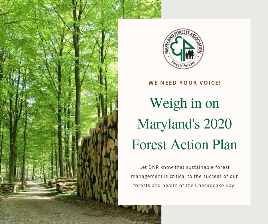 MFA's Position: Maryland's 2020 Forest Action Plan