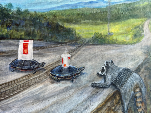 Raccoon with tire tracks gets food delivered by turtles original ...