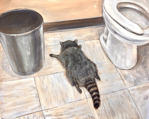 Drunk raccoon, Cole passed out in bathroom next to toilet, ABC liquor ...