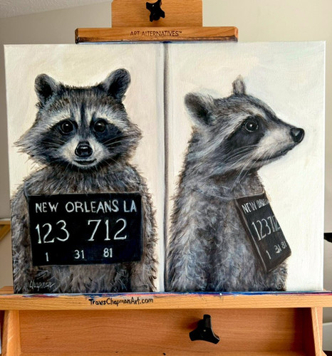 Kip, the raccoon mug shot arrested for malicious mischief original 16 ...
