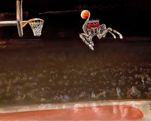 Jordan jumping spider with red head. Iconic dunking photo.