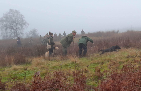 Gallery | Vale Of York Working Retriever Club