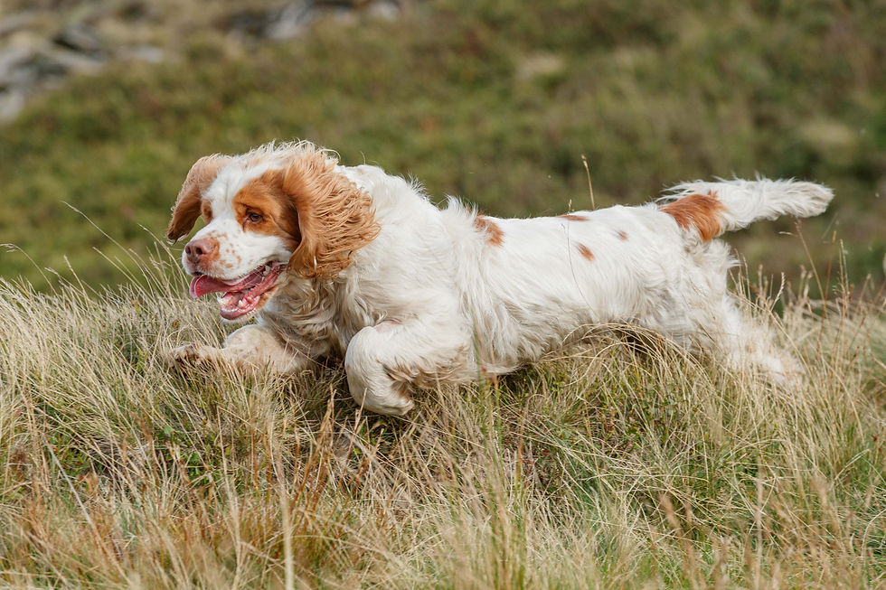 NO TIME TO WASTE....