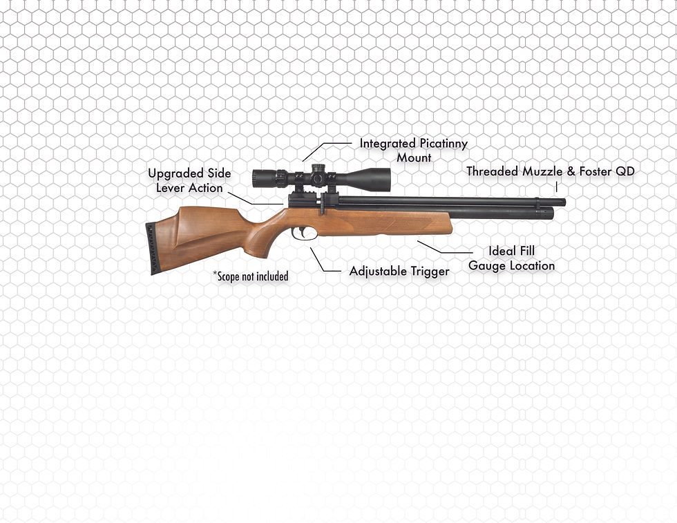 Air Gun | Dynamic Air Rifles | Ontario