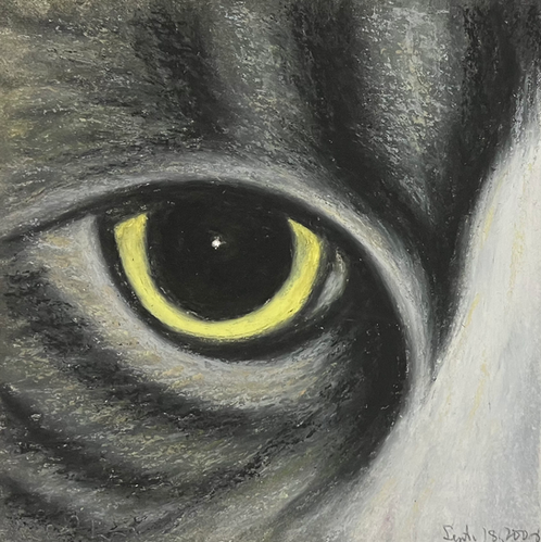 Molly (cat) | FR. PAUL PLANTE