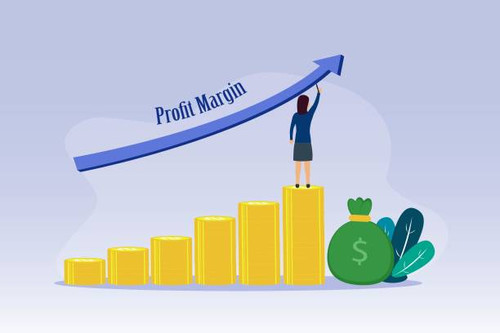 Profit Margin Chart Template | Mzansi Business