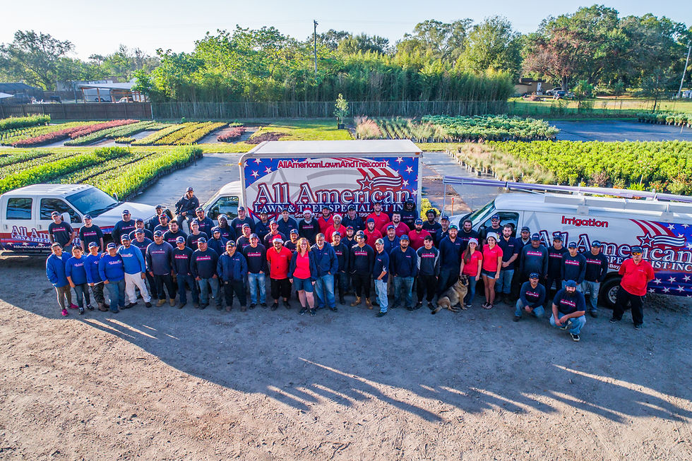 Lawn Care | All American Lawn & Tree Specialist | United States